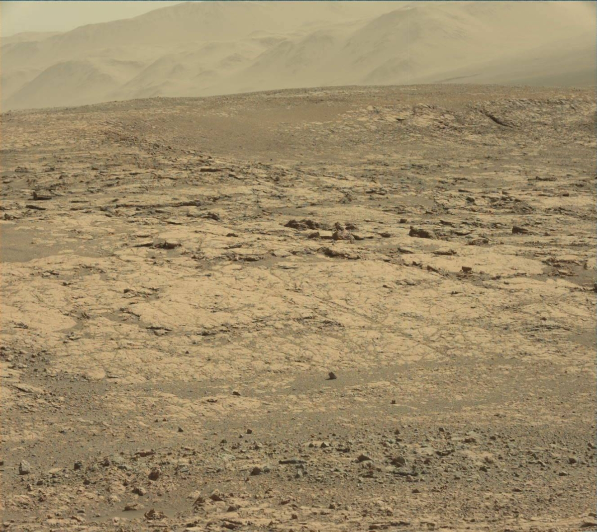 Curiosity Mars Rover: Wheeling and Dealing with Sand Sample