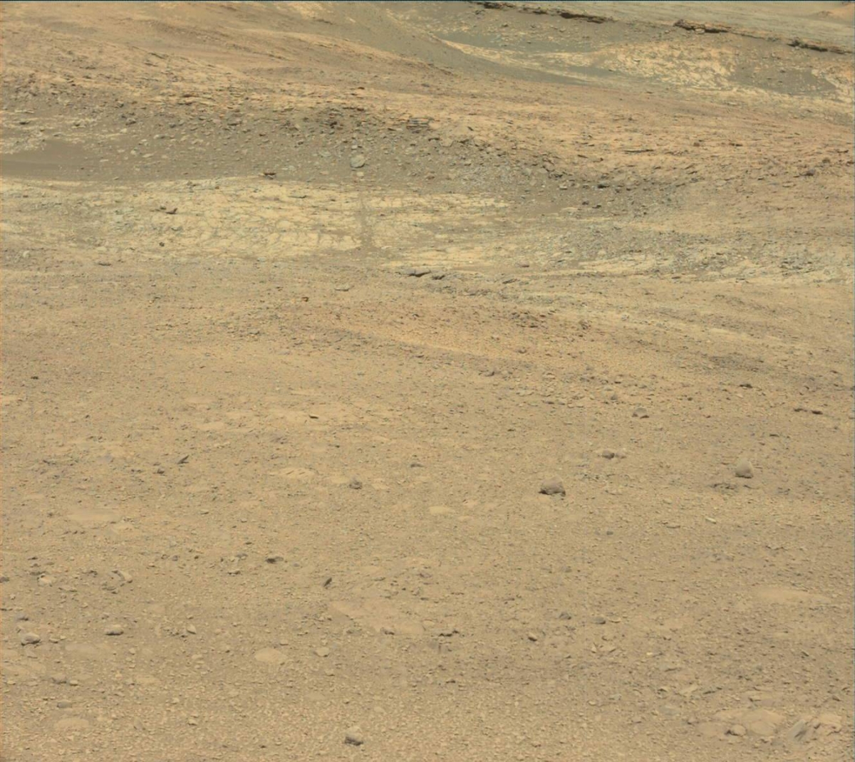 Curiosity Mars Rover: On the Lookout for Ancient and Potentially ...