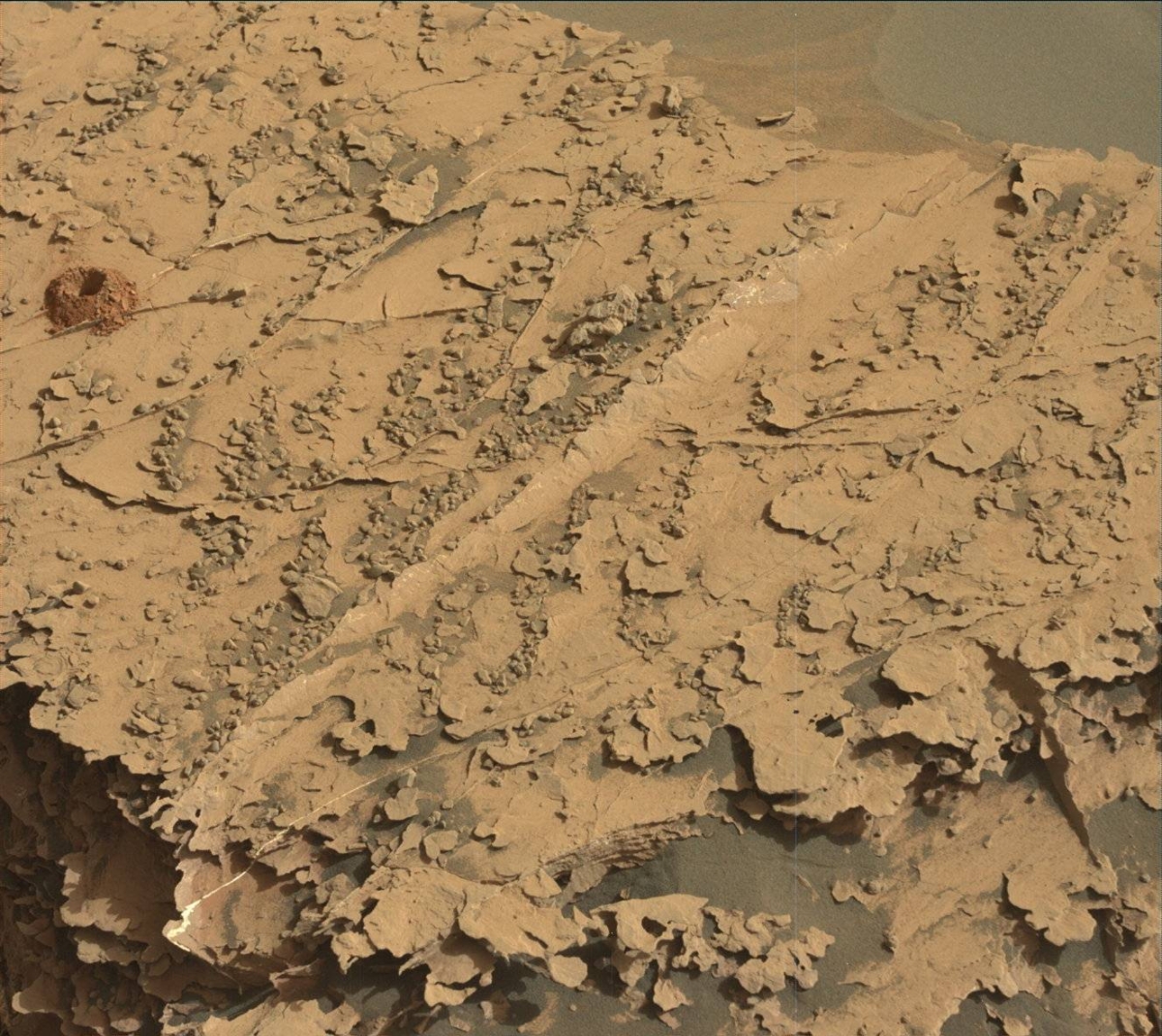 Curiosity Mars Rover: Mineralogy of Duluth Sample