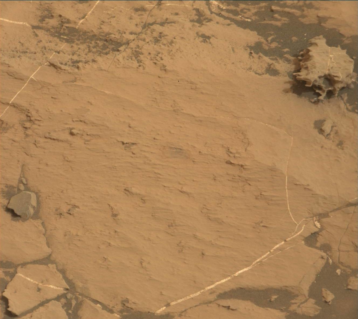 Curiosity Mars Rover: Sample Handling Update