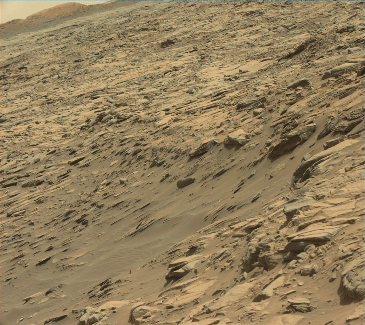 Curiosity Mars Rover: Gazing Into the Distance